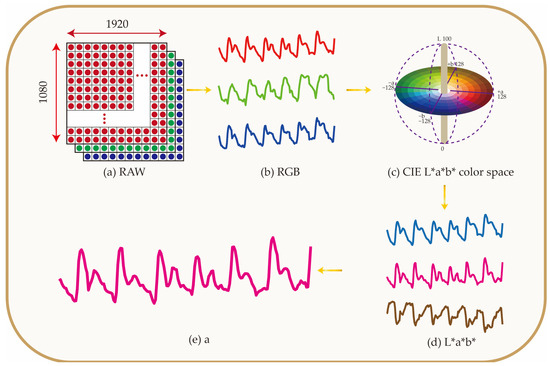Biosensors | Free Full-Text | A Smartphone-Based Biosensor for Non ...
