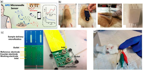 Electrochemical Microneedles: Innovative Instruments in Health Care