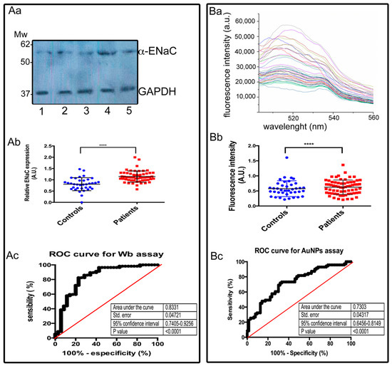 Clinical Application of Epithelial Sodium Channel (ENaC) as a Biomarker ...
