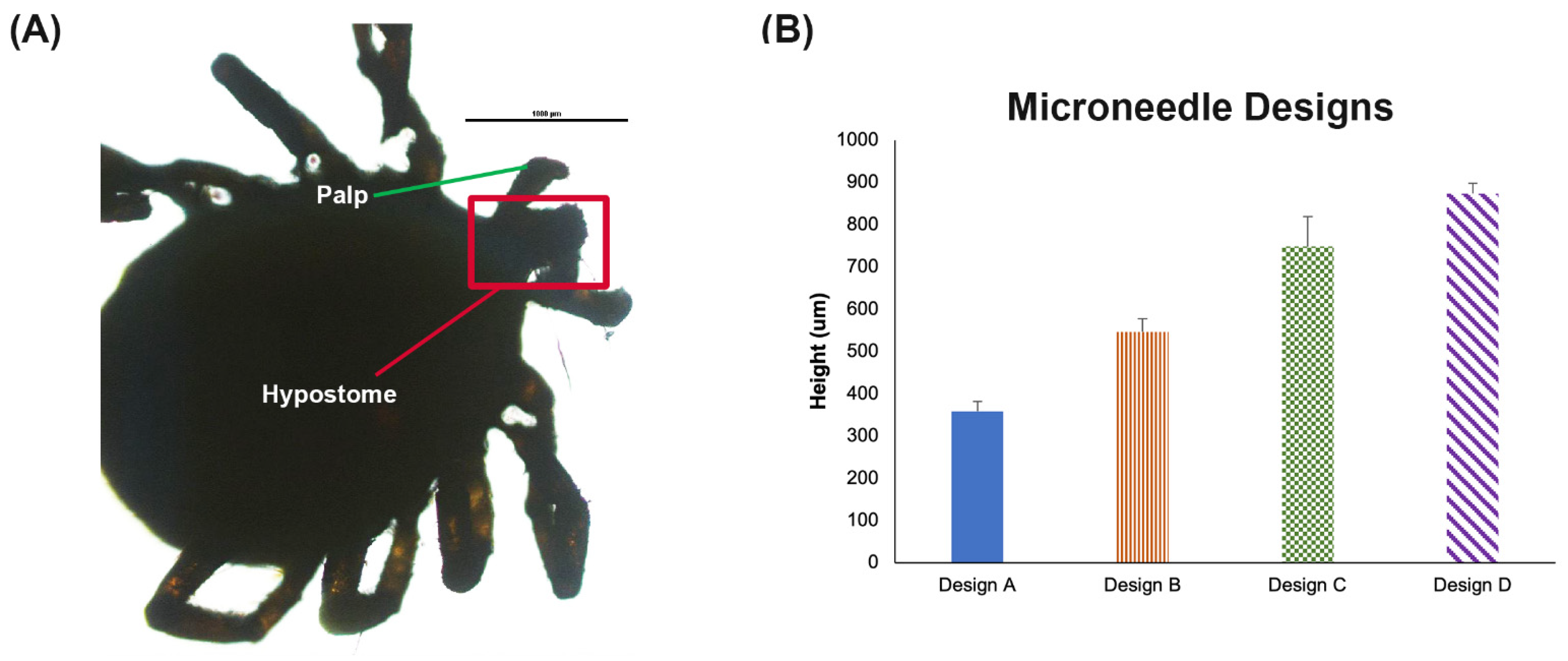 Direct Capture and Early Detection of Lyme Disease Spirochete in Skin ...