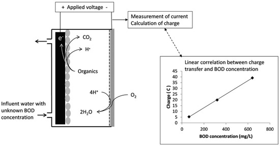 Microbial Biosensors for Rapid Determination of Biochemical Oxygen ...