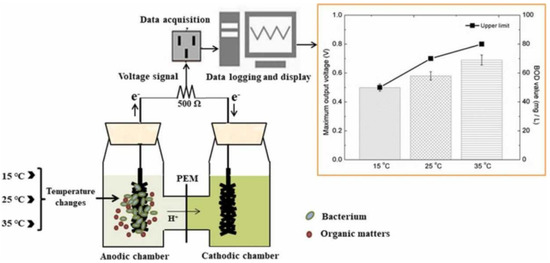 Microbial Biosensors for Rapid Determination of Biochemical Oxygen ...