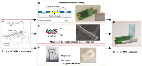 Microbial Biosensors for Rapid Determination of Biochemical Oxygen ...