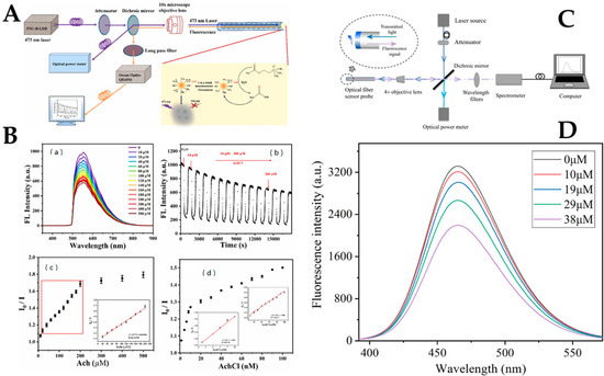 Advances in Novel Nanomaterial-Based Optical Fiber Biosensors—A Review