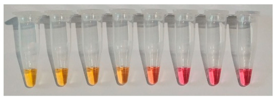 Principles and Applications of Loop-Mediated Isothermal Amplification ...