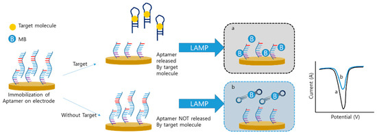 Principles and Applications of Loop-Mediated Isothermal Amplification ...