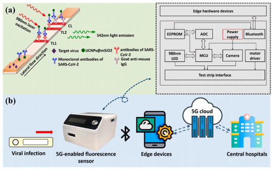 Recent Advances of Representative Optical Biosensors for Rapid and ...