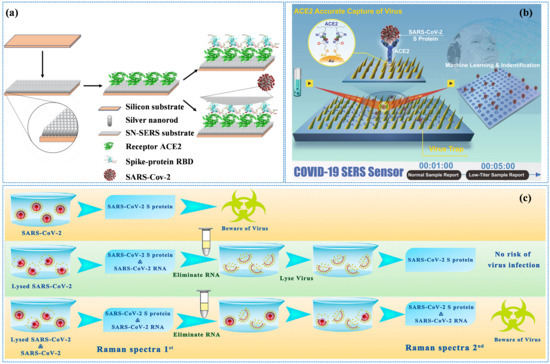 Biosensors | Free Full-Text | Recent Advances of Representative Optical Biosensors for Rapid and ...