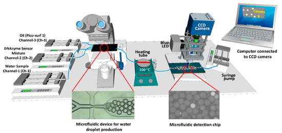 Recent Progress in Spectroscopic Methods for the Detection of Foodborne ...