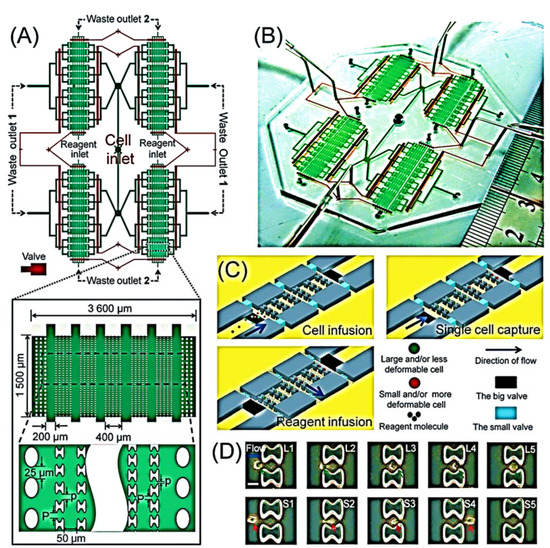 Application of Microfluidics in Drug Development from Traditional Medicine