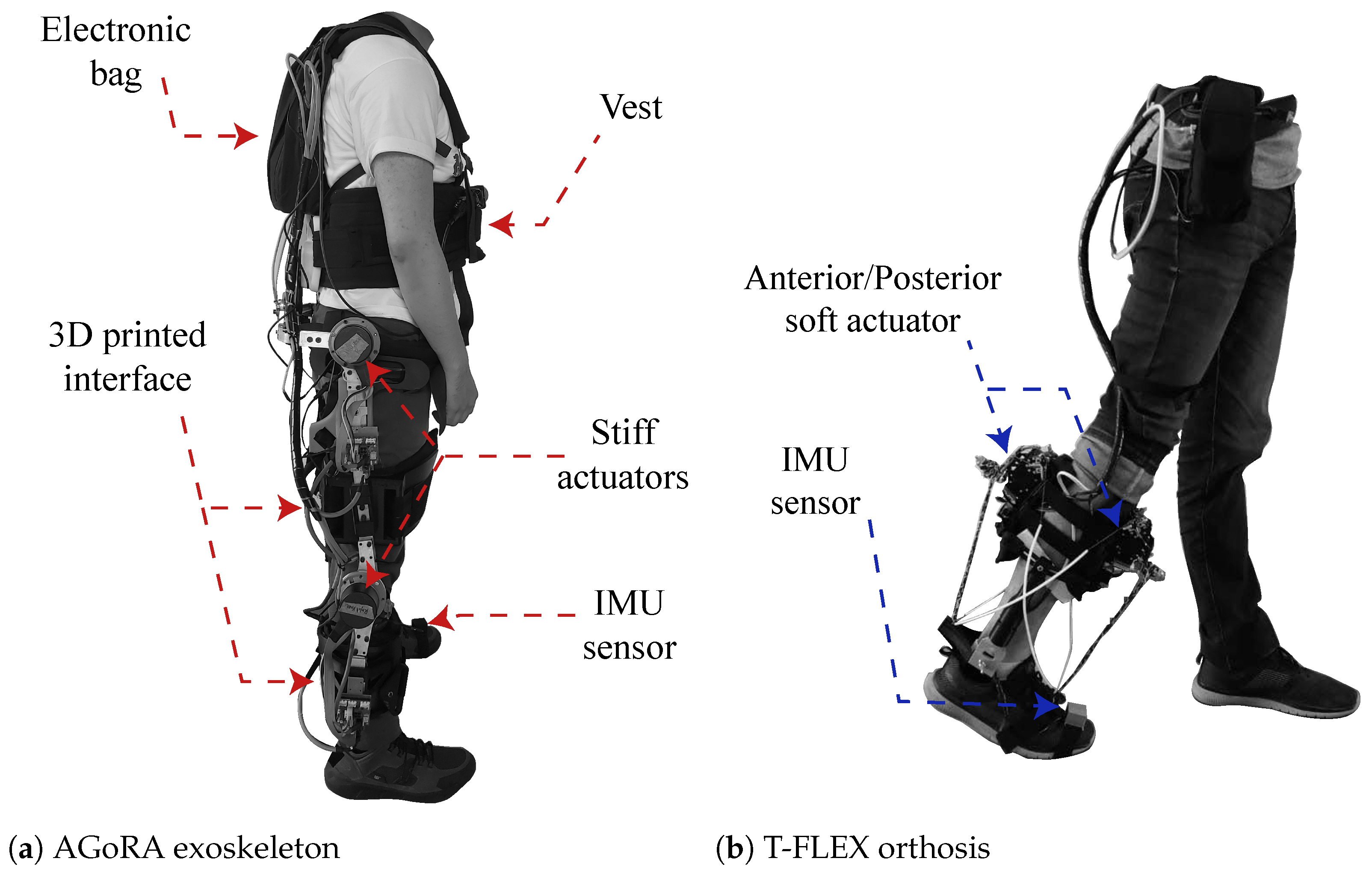 Biomechanical Effects of Adding an Ankle Soft Actuation in a Unilateral ...