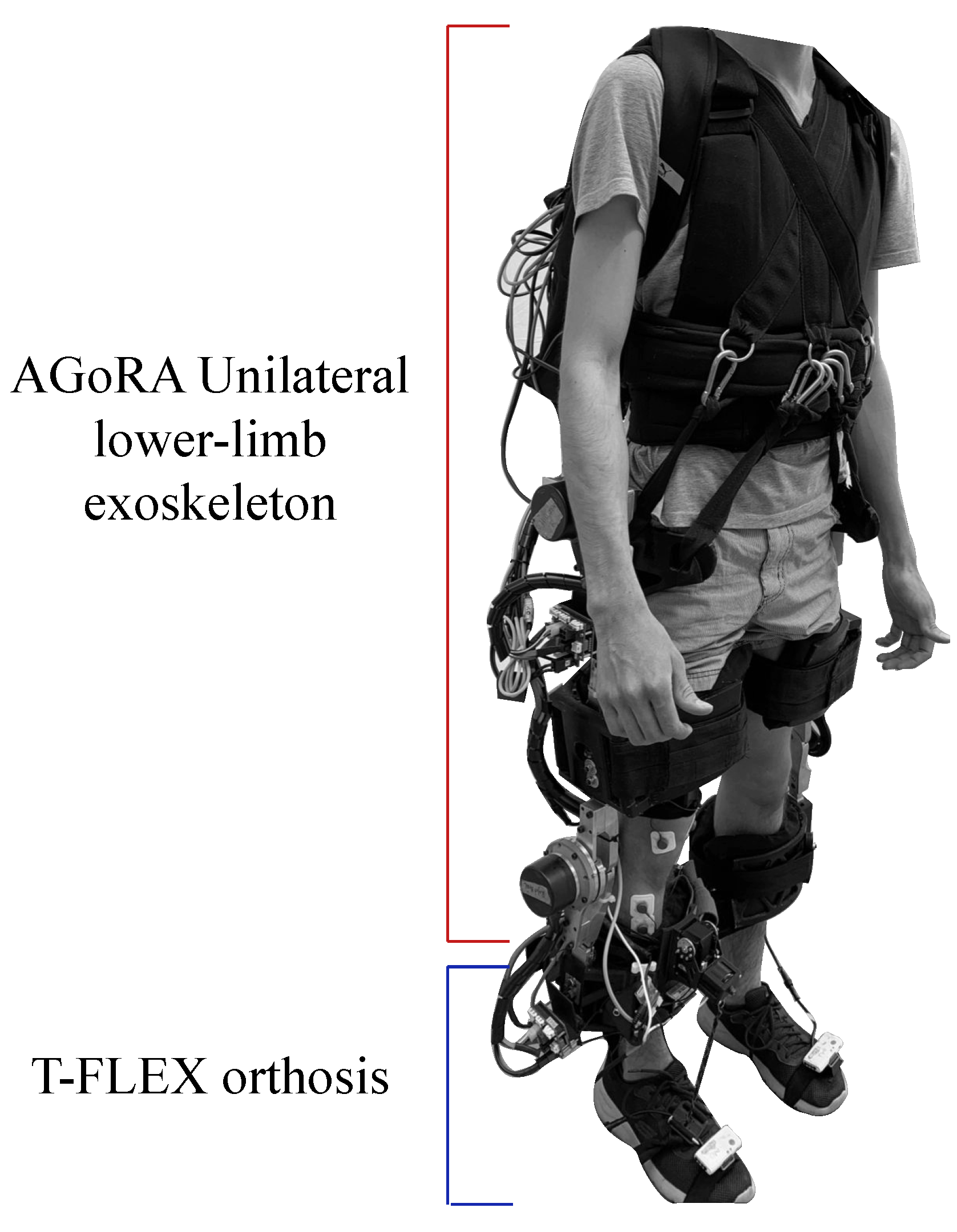 Biomechanical Effects of Adding an Ankle Soft Actuation in a Unilateral ...