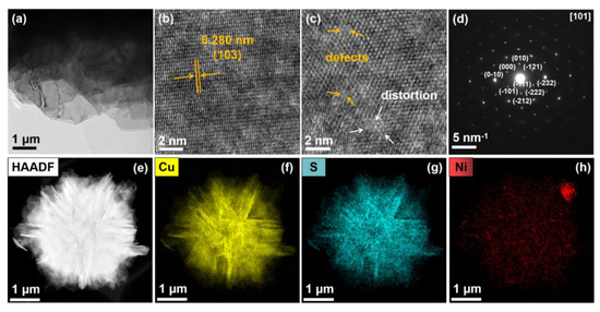 Exploring the Antibacterial and Biosensing Applications of Peroxidase ...