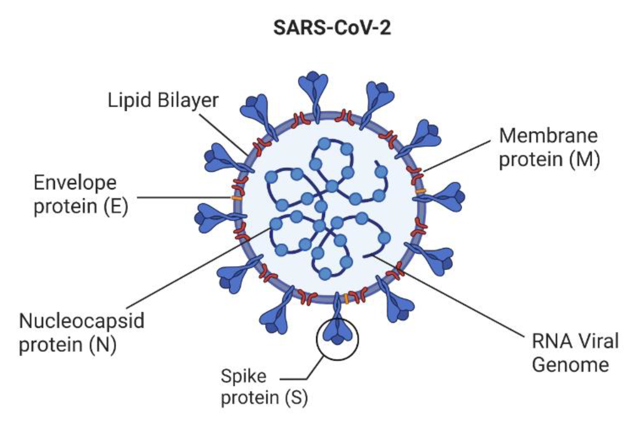 Advances in Biosensing Technologies for Diagnosis of COVID-19