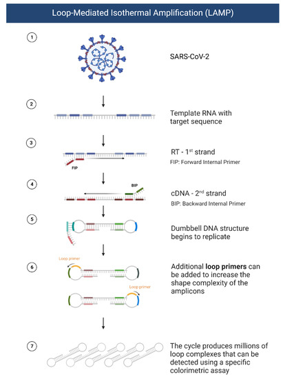 Advances in Biosensing Technologies for Diagnosis of COVID-19