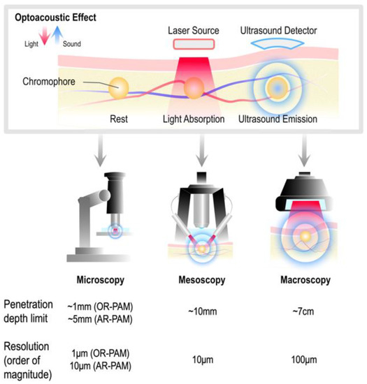 Image Quality Improvement Techniques and Assessment Adequacy in Clinical Optoacoustic Imaging: A ...