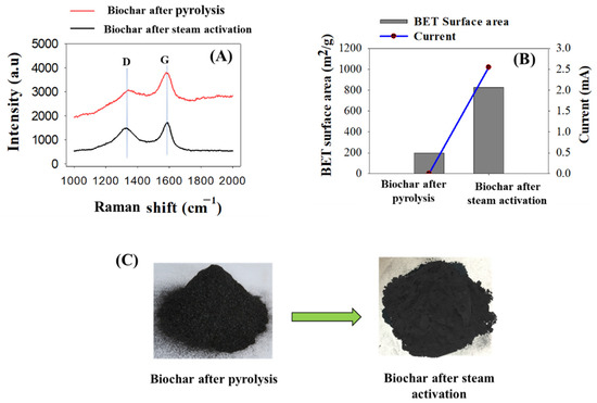 A Novel Activated Biochar-Based Immunosensor for Rapid Detection of E ...