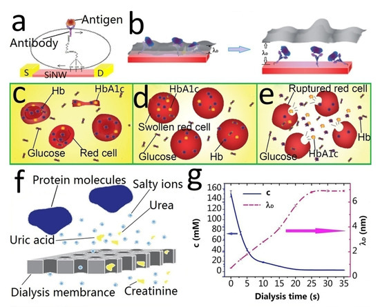 Dynamic Detection of HbA1c Using a Silicon Nanowire Field Effect Tube Biosensor
