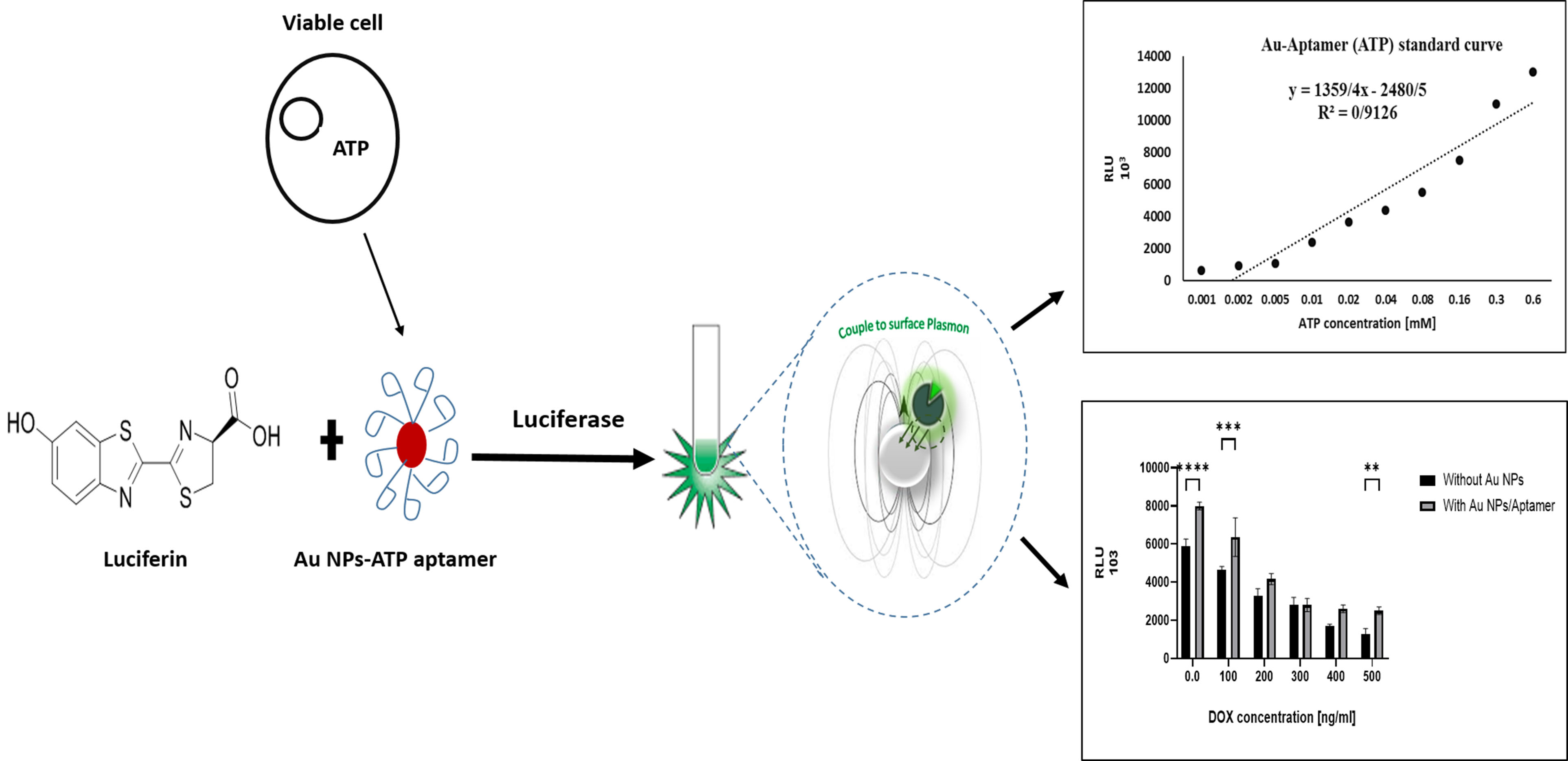 Biosensors Free Full Text Label Free And Bioluminescence Based Nano Biosensor For Atp Detection