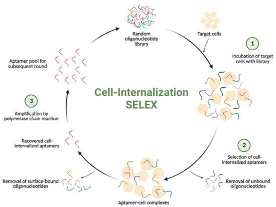Advances in Aptamer-Based Biosensors and Cell-Internalizing SELEX Technology for Diagnostic and ...