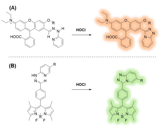BODIPY-Based Fluorescent Probes for Selective Visualization of Endogenous Hypochlorous Acid in ...