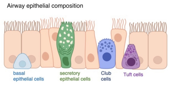 Genome-Wide Gene Expression Analysis Reveals Unique Genes Signatures of ...