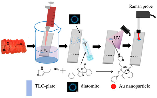 Review of Thin-Layer Chromatography Tandem with Surface-Enhanced Raman ...