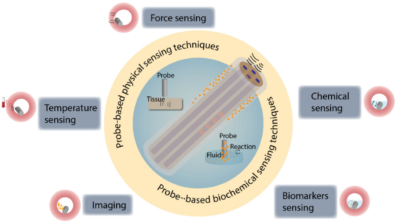 Progress in Probe-Based Sensing Techniques for In Vivo Diagnosis