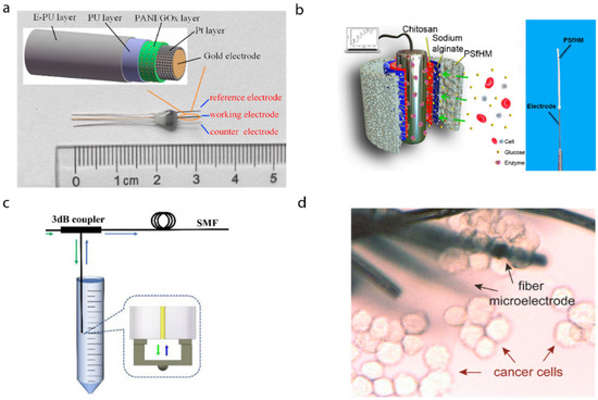 Progress in Probe-Based Sensing Techniques for In Vivo Diagnosis