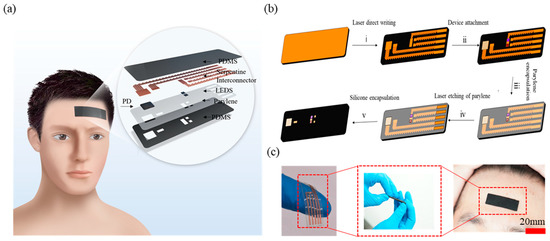 A Flexible Optoelectronic Device for Continuous Cerebral Blood Flow ...