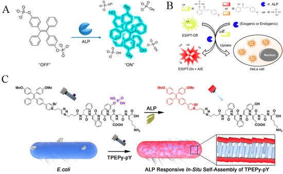 Biosensors for the Detection of Enzymes Based on Aggregation-Induced ...