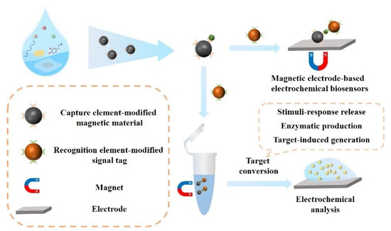 Overview on the Design of Magnetically Assisted Electrochemical Biosensors