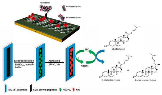 Emerging Trends in Non-Enzymatic Cholesterol Biosensors: Challenges and ...