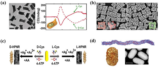 Gold-Nanoparticle-Based Chiral Plasmonic Nanostructures and Their Biomedical Applications