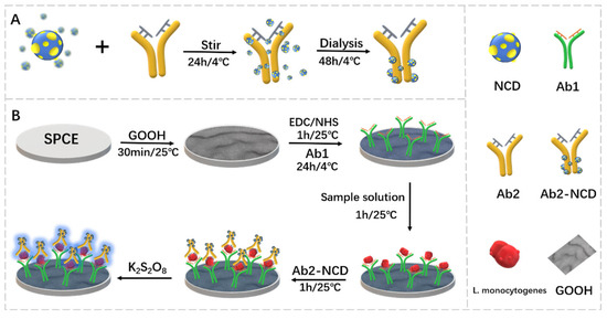 Review of Electrochemical Biosensors for Food Safety Detection