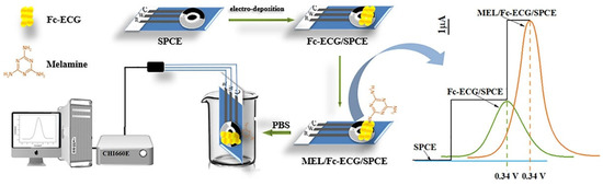 Review of Electrochemical Biosensors for Food Safety Detection