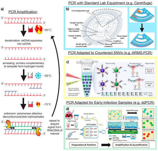 Biosensors | Free Full-Text | Emerging Multiplex Nucleic Acid ...