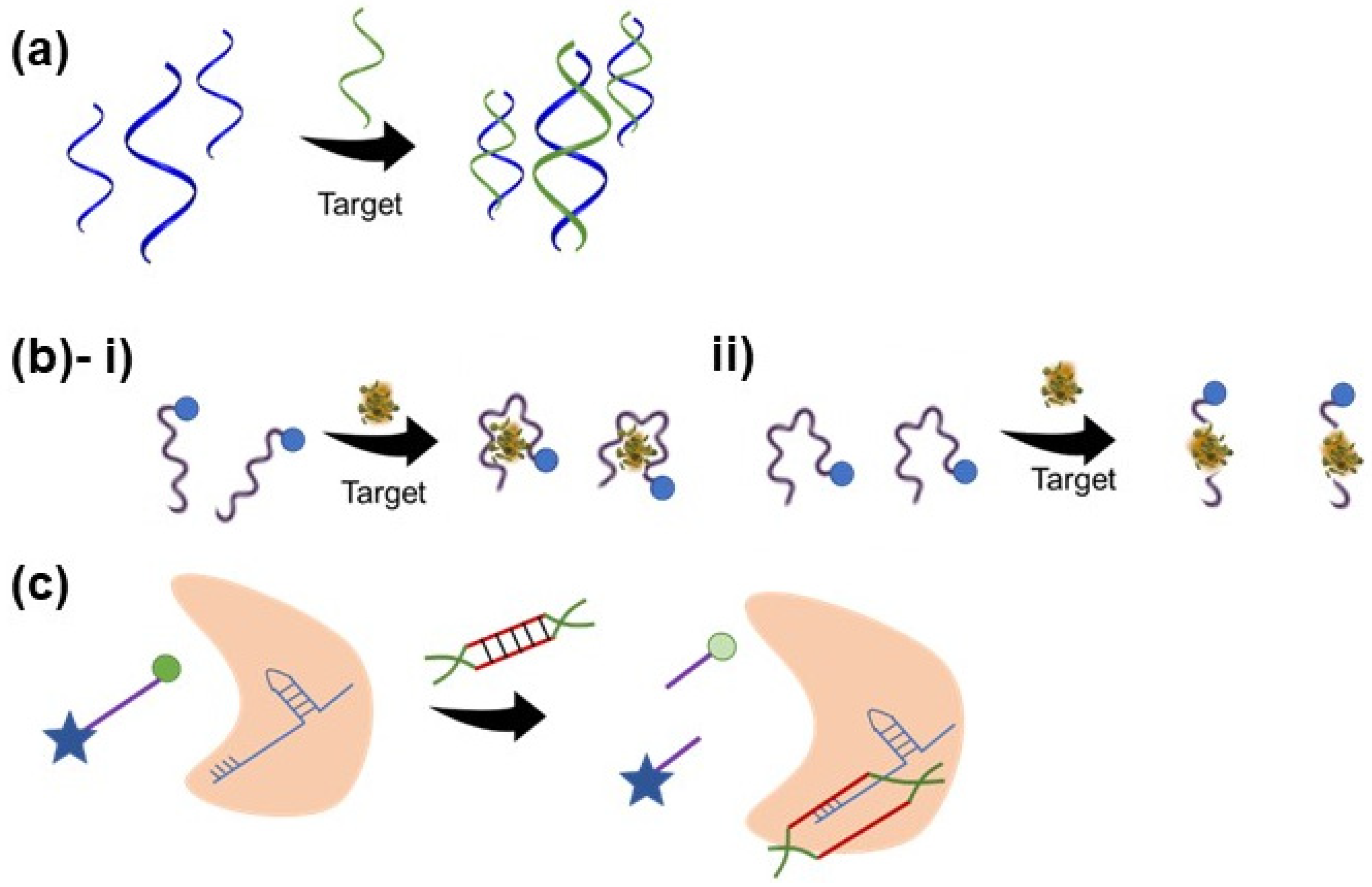 Biosensors | Free Full-Text | Recent Advances, Opportunities, and ...