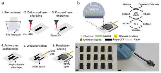 A Mediated Enzymatic Electrochemical Sensor Using Paper-Based Laser ...