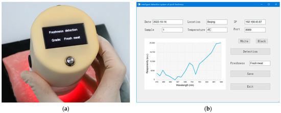 An Intelligent Detector for Sensing Pork Freshness In Situ Based on a ...