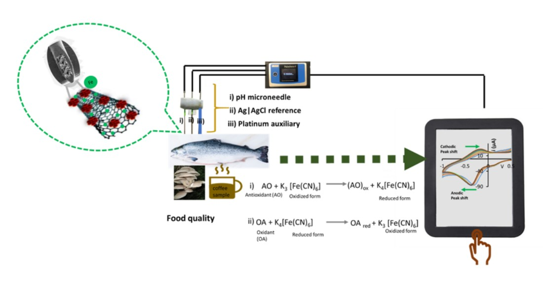 Biosensors Free Full Text A Multipurpose And Multilayered Microneedle Sensor For Redox