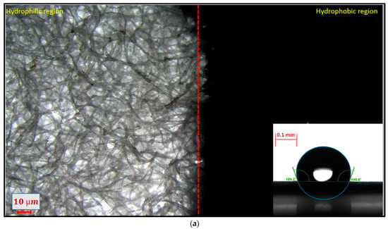 A Chemometric-Assisted Colorimetric-Based Inexpensive Paper Biosensor ...