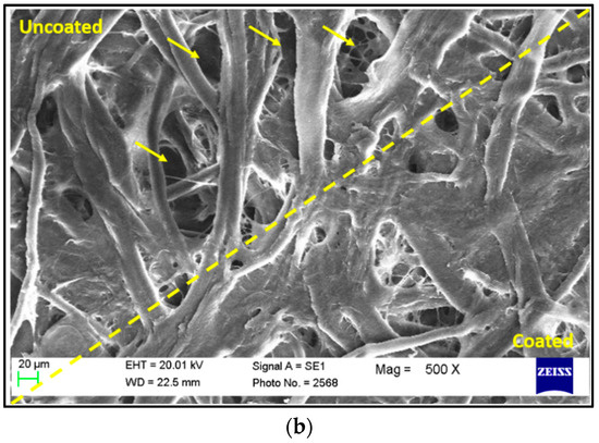 A Chemometric-Assisted Colorimetric-Based Inexpensive Paper Biosensor ...