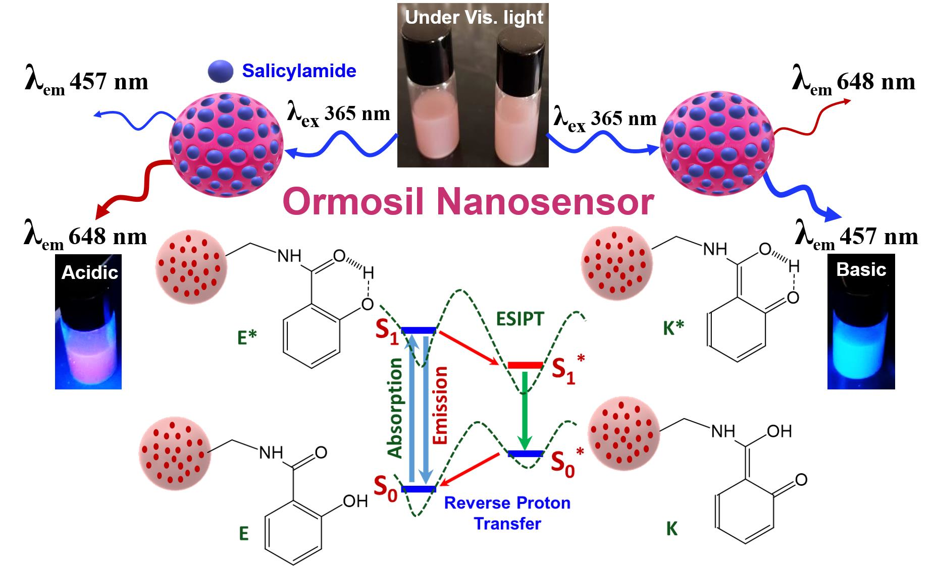 Biosensors | Free Full-Text | Dual Optical Nanosensor Based on Ormosil ...