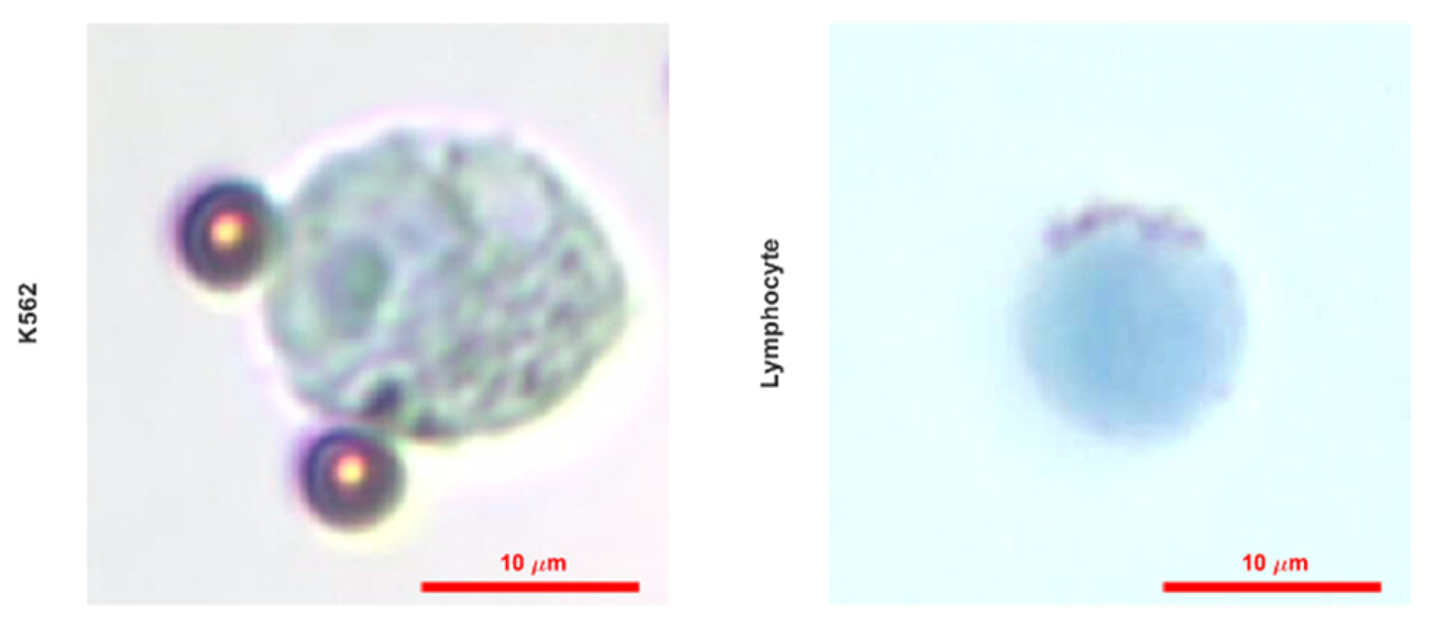 Simple Staining of Cells on a Chip