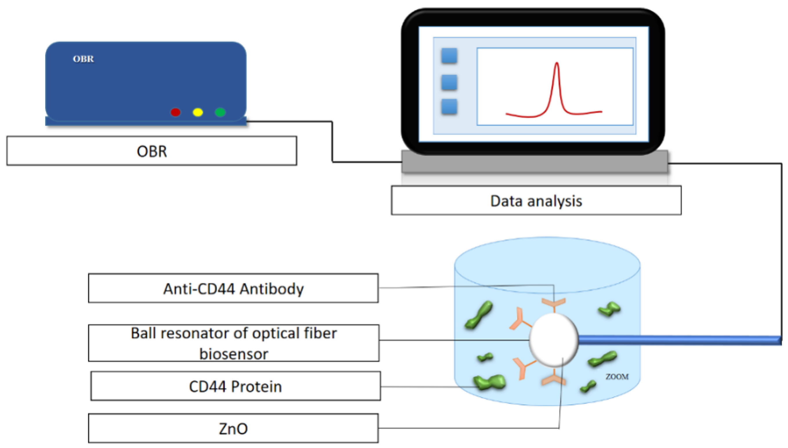 Biosensors | Free Full-Text | Highly Sensitive Zinc Oxide Fiber-Optic Biosensor for the ...