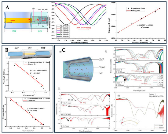 Biosensors | Free Full-Text | Novel Optical Fiber-Based Structures for ...