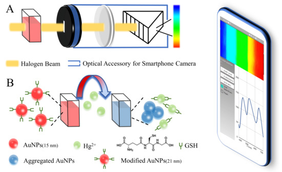 A Real-Time Detection Method of Hg2+ in Drinking Water via Portable Biosensor: Using a ...