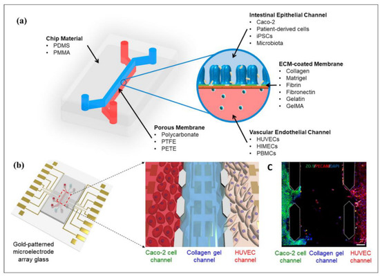 Biomedical Applications of Microfluidic Devices: A Review