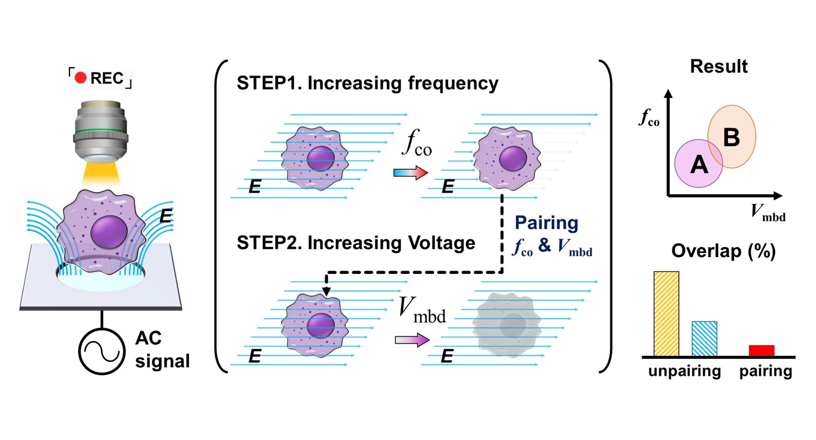 Biosensors | Free Full-Text | On-Chip Single-Cell Bioelectrical ...